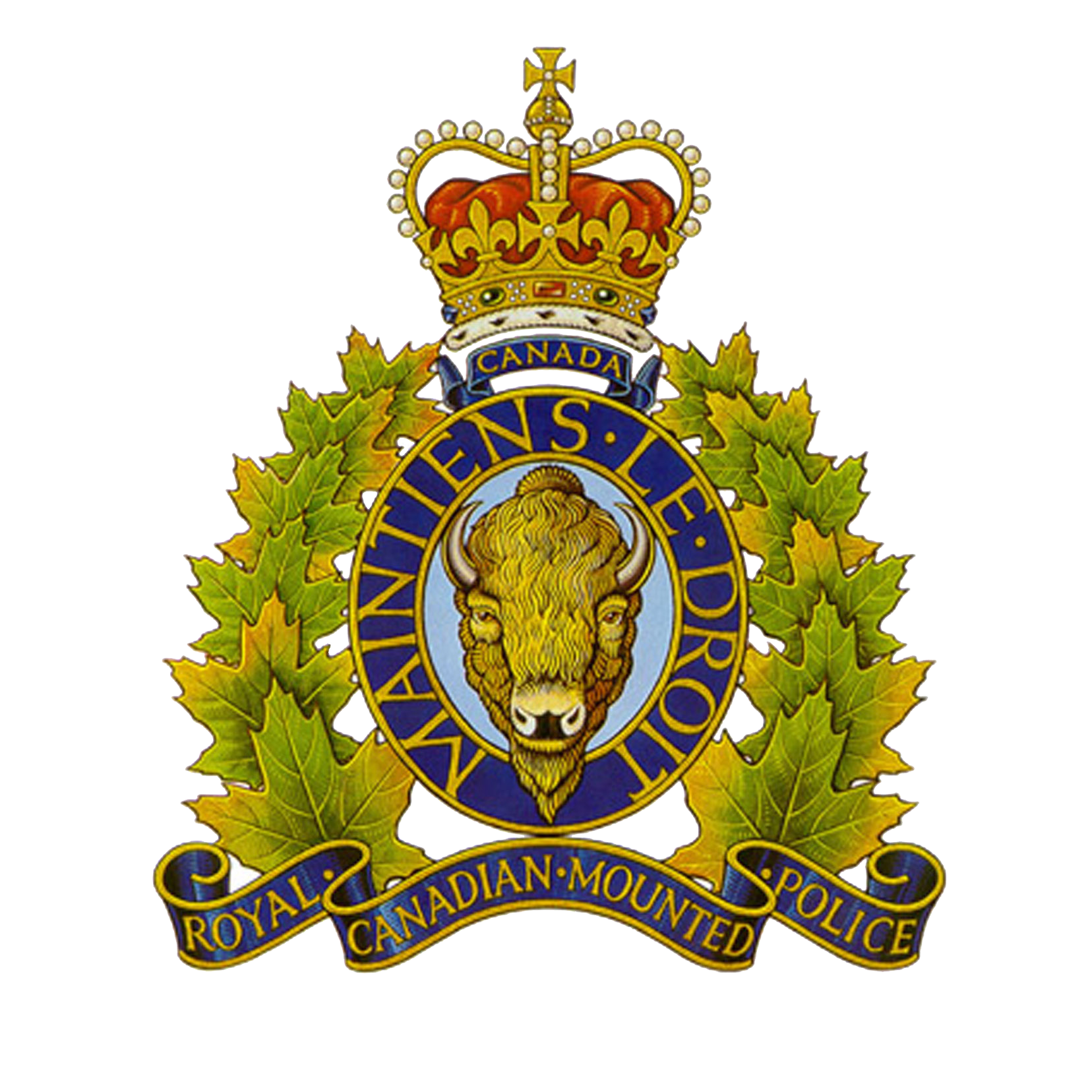 Home Page · Maverick Video Group